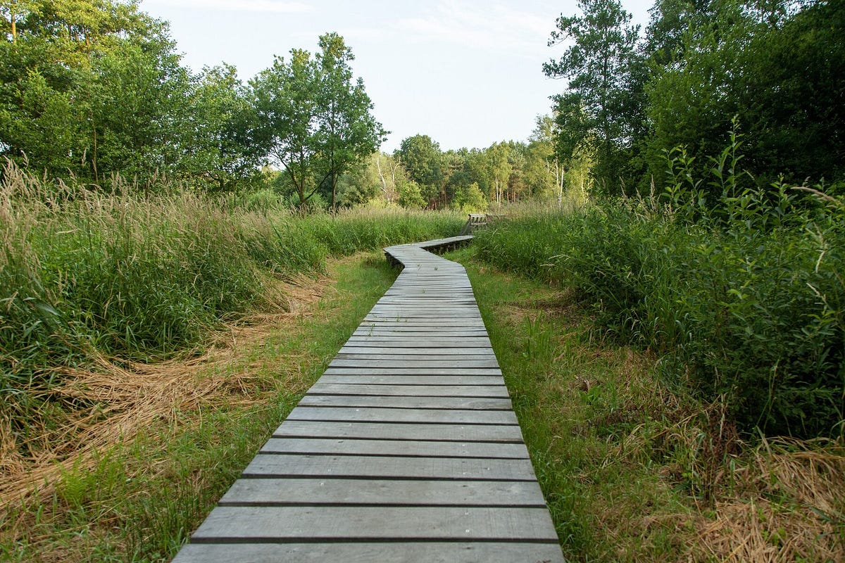 The Dangers Of Shortcuts. When it comes to solving problems and… | by ...
