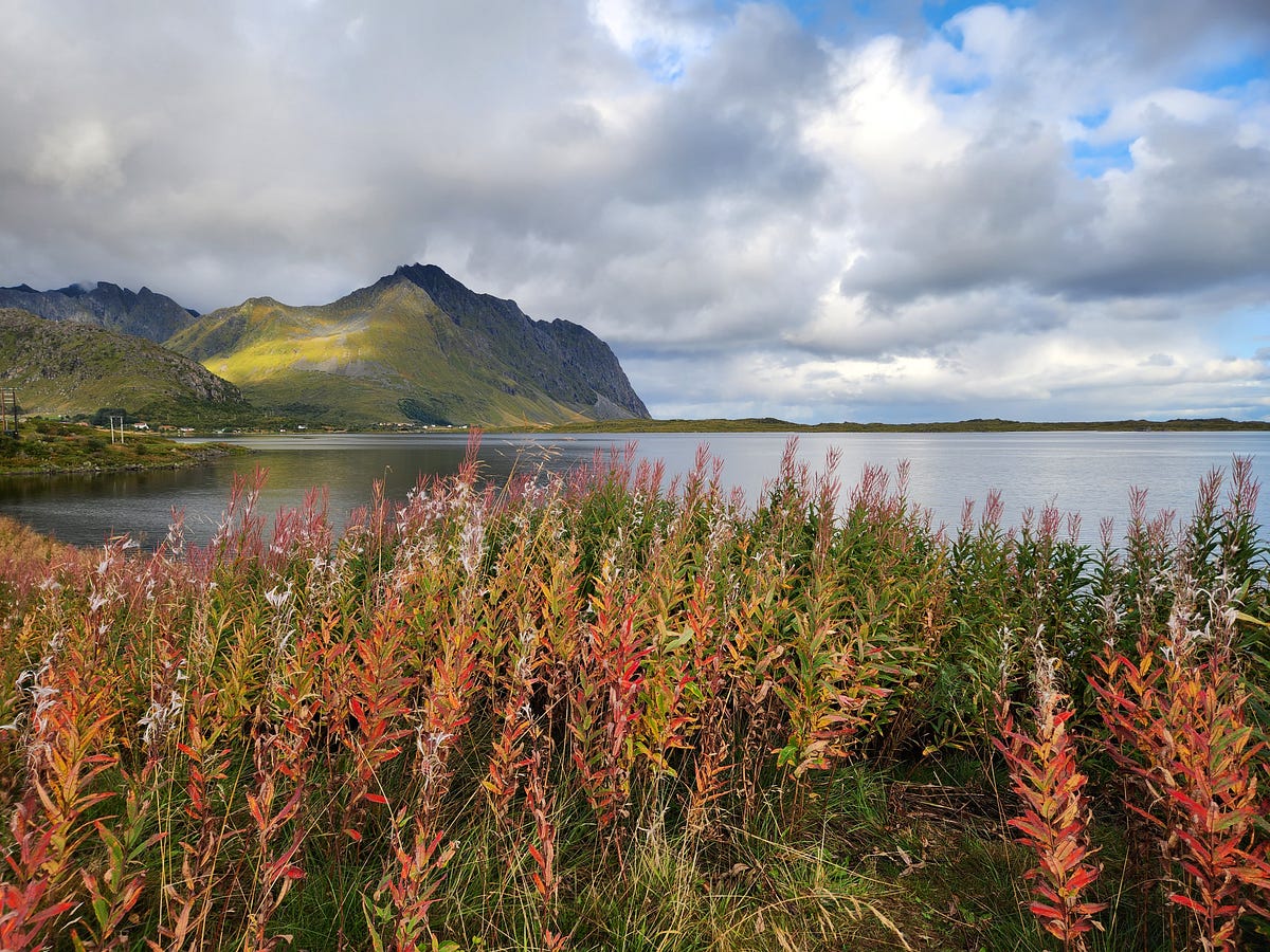 Photos of Fall Colors in Norway, New England, California and Montana ...