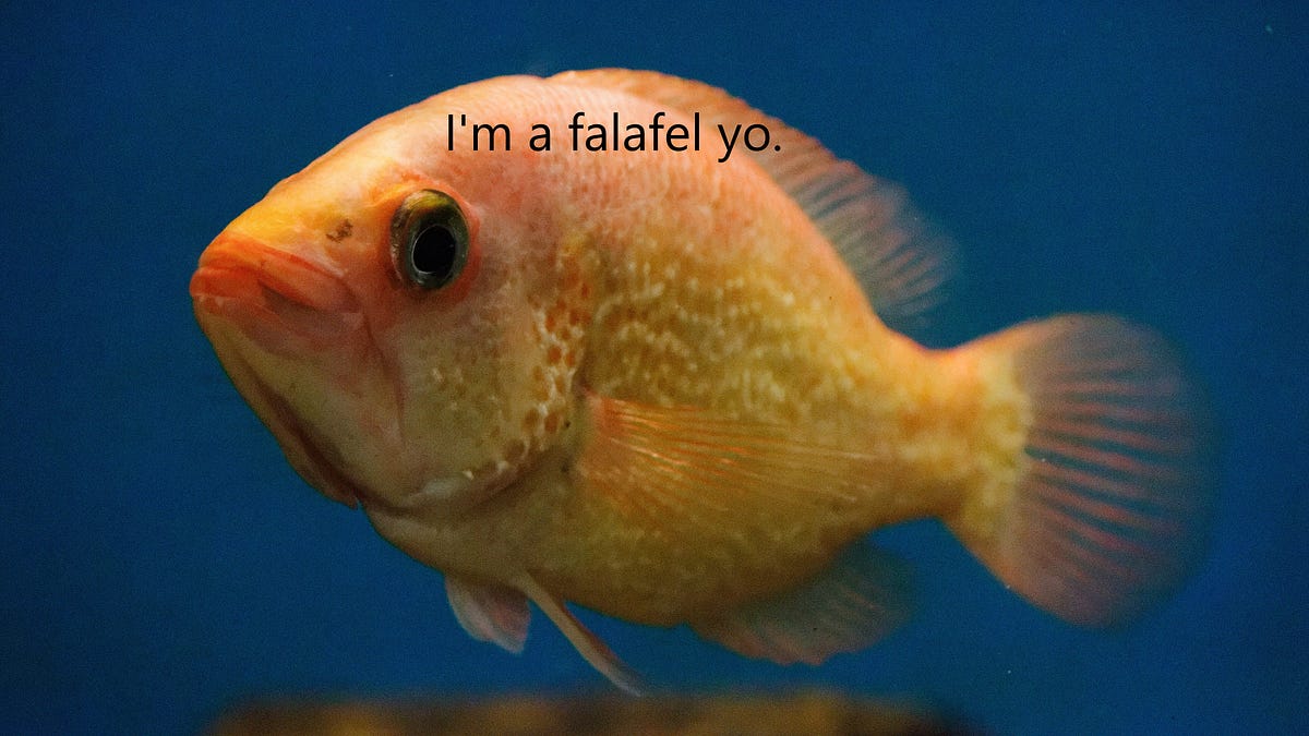 It’s 2020 and Fish is Still Not Meat | by GrayedFox | Moments | Medium