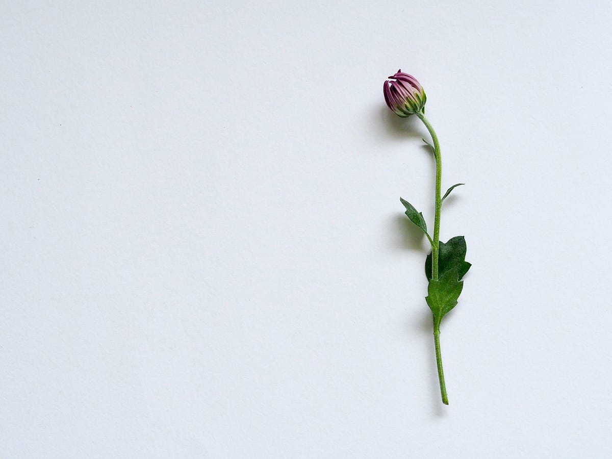 God is very simple :). One thing that stands out to me in the… | by Okey Jey | Medium
