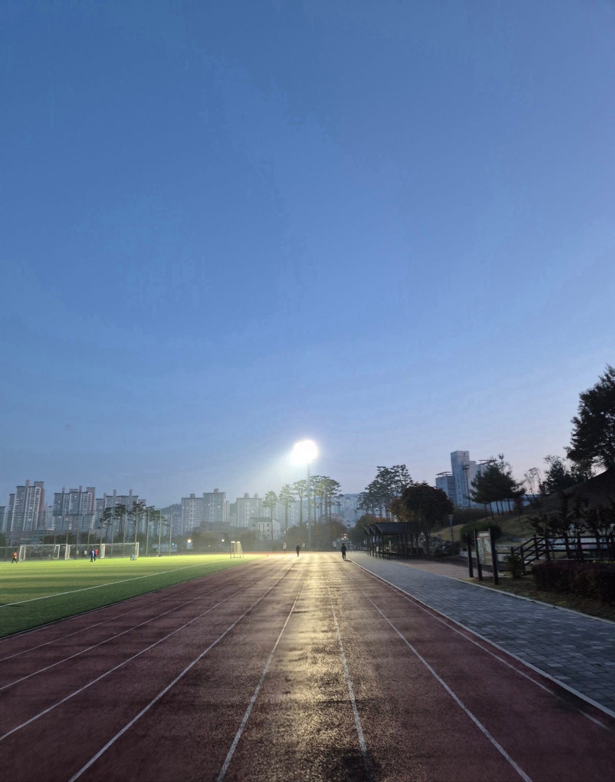 Flying Free. Running is Flying just a teeny tiny bit | by Ray Kim | Medium