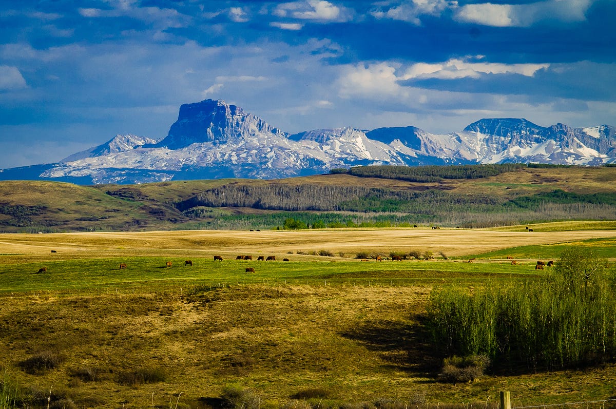 Do American and Islamic Cultures Cater to Prairies and Deserts? | by ...