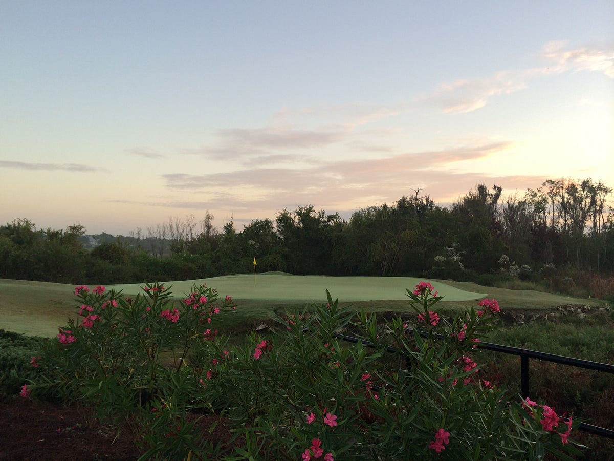 Sean Foley: Golf x Philosophy | by Jordan Jackson | Medium