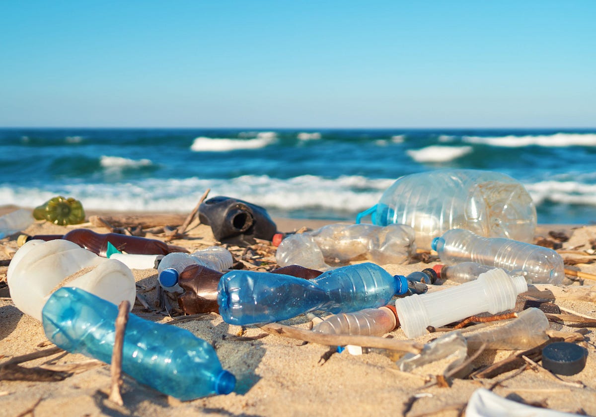 Researching Plastic Pollution and Biodegradable Plastics | by ainara ...
