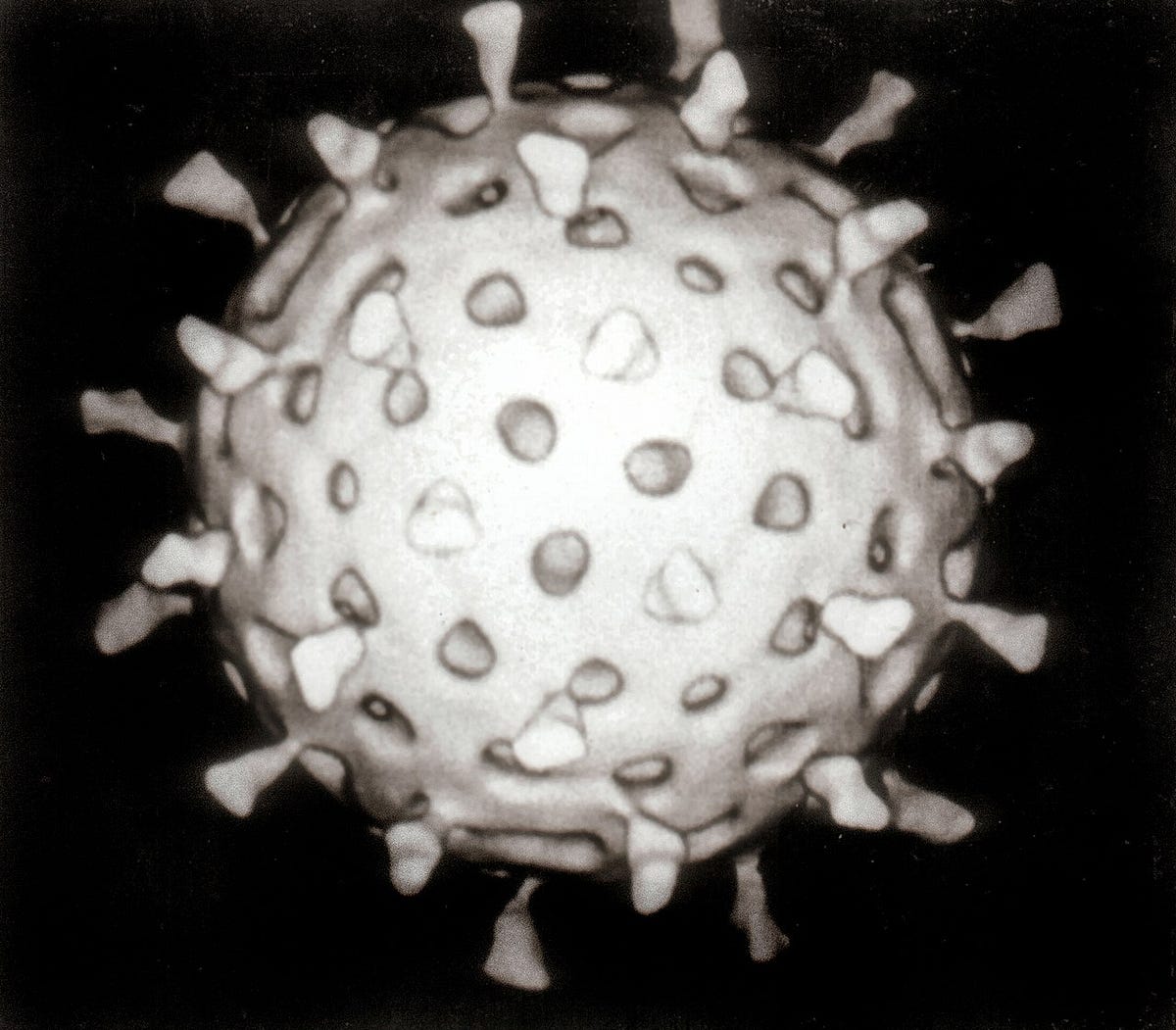 Is The Virus Of The Future An Evolving Neural Network? | by Roger ...