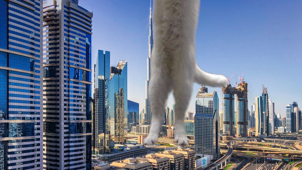 Longcat lives!. Longcat is alive! Longlive Longcat! | by Longcatlives ...