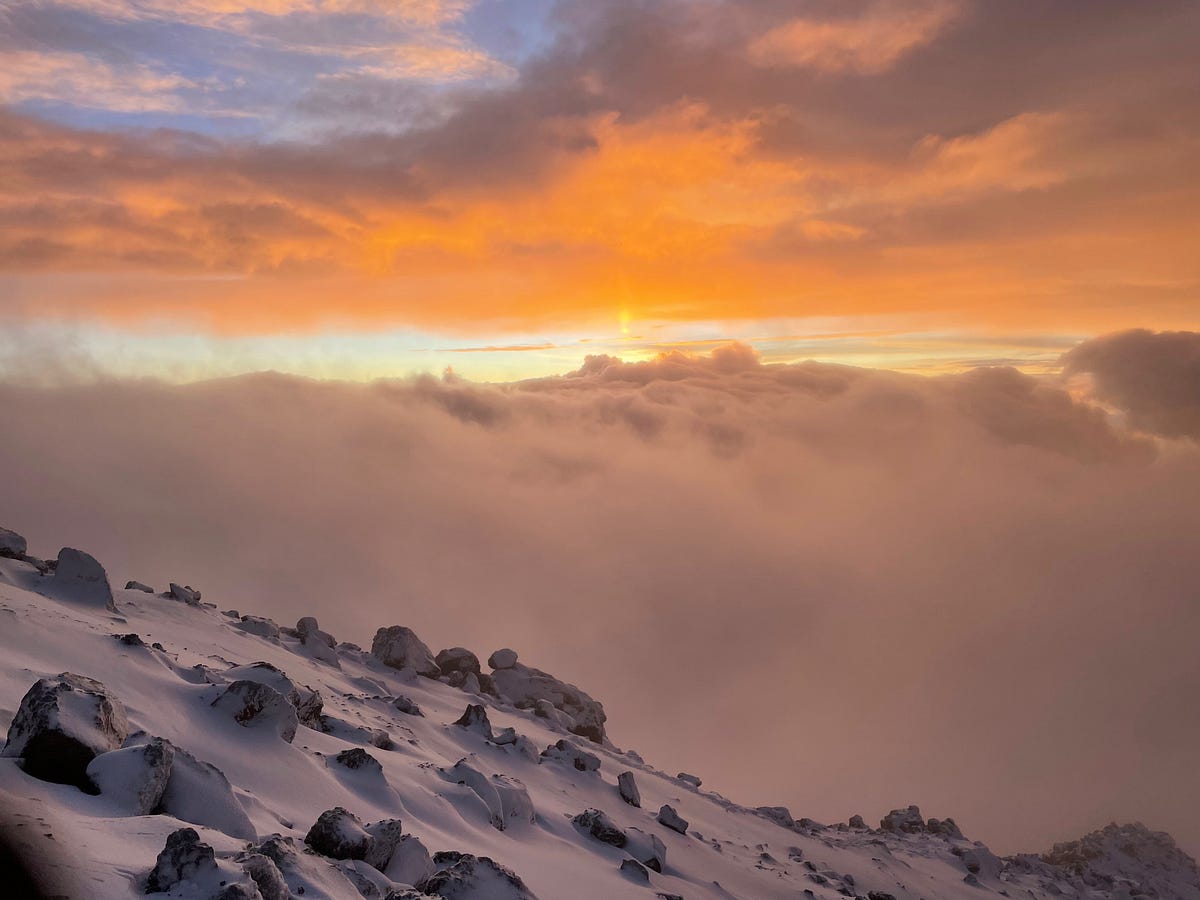 Everything You Need to Know about Kilimanjaro (mostly), from a Floridian | by Doug Ogburn | Medium