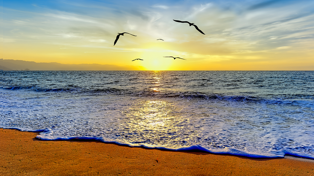 Setting Boundaries from Your Soul: A Holiday Season Reflection | by Jim ...