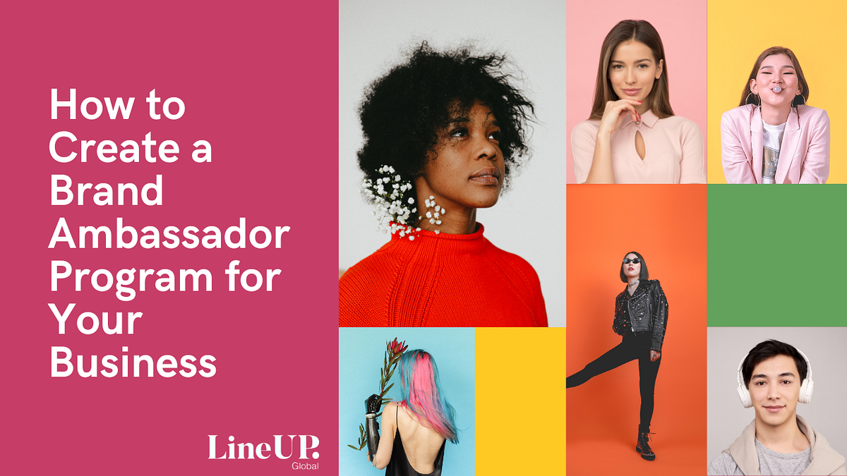How To Build A Brand Ambassador Program In 6 Easy Steps | by Vinci ...