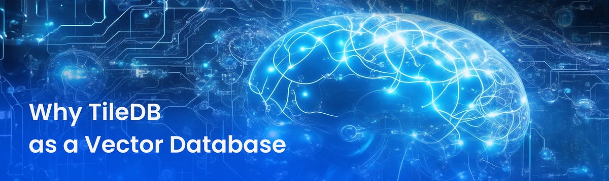 Why TileDB as a Vector Database. Vector databases have recently gained… | by Stavros ...