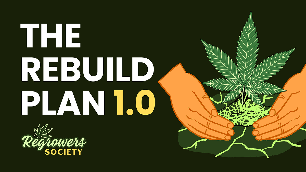 Regrowers Society — The Rebuild Plan 1.0 | by Regrowers Society | Medium