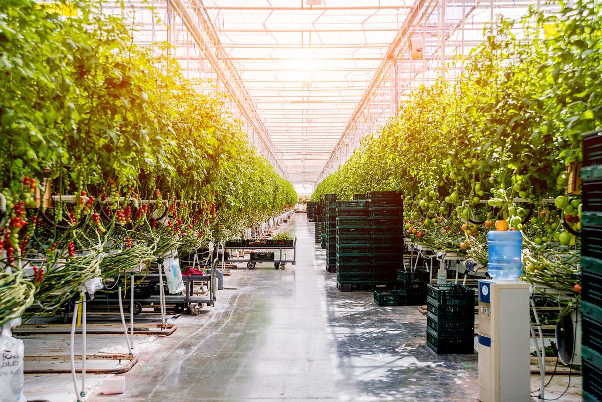 Introducing Root AI. The AI-powered robotics company… | by Josh Lessing ...