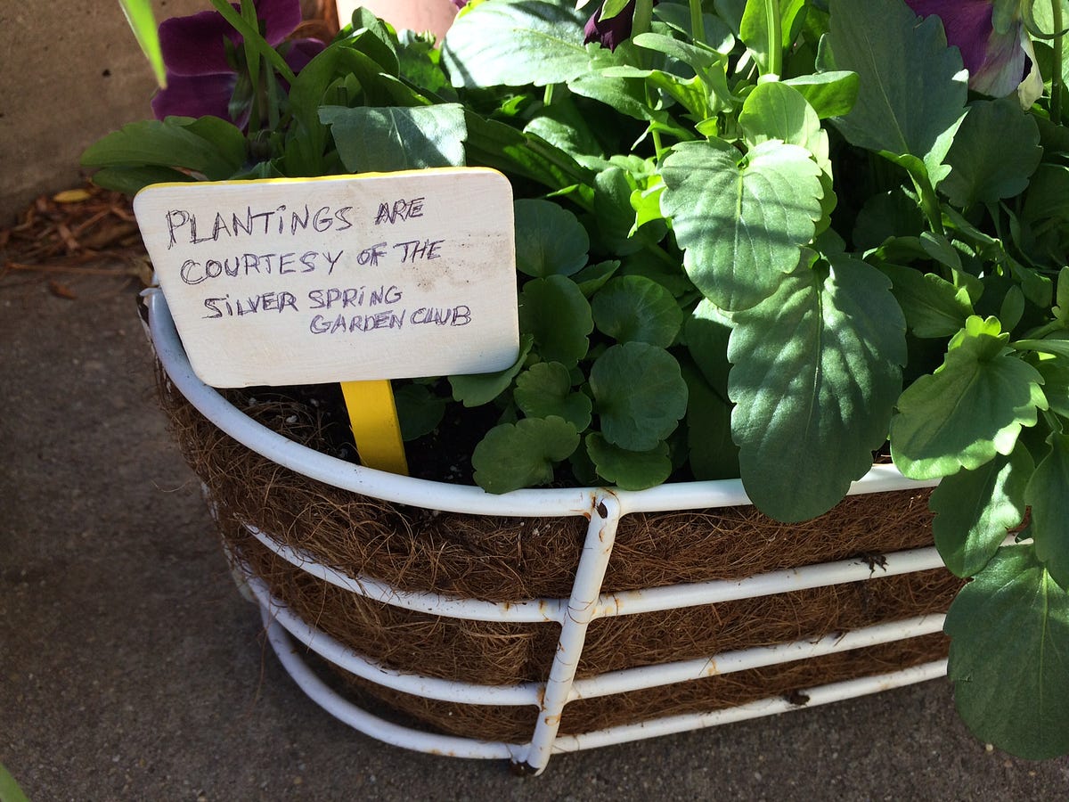 Guerilla Gardening. Planting Seeds of Hope in the Community | by Kathy ...