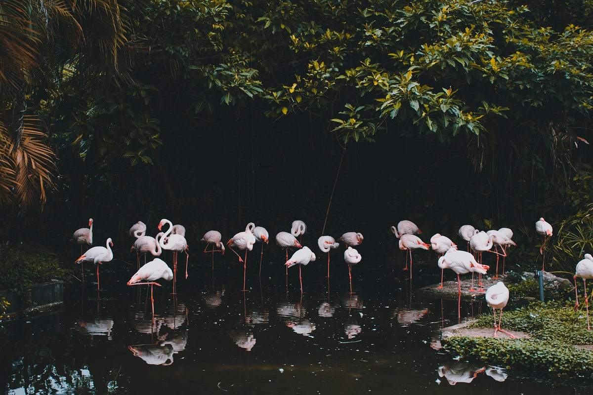 heaThe Unseen Economy of Micro-Cultures: How small groups influence ...