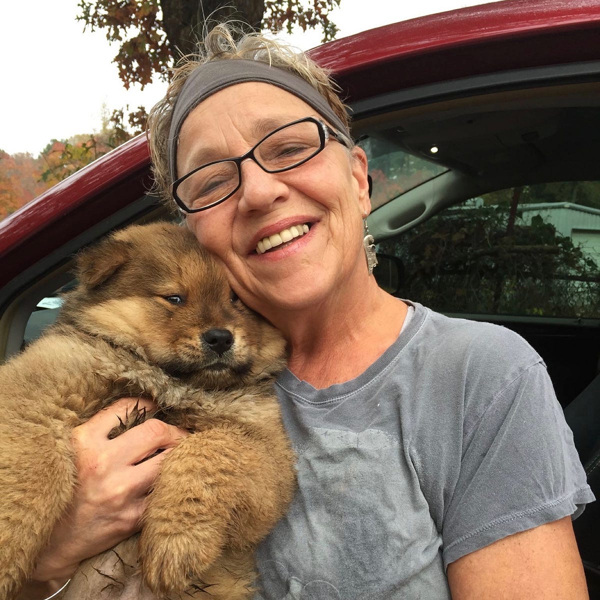 We Are Killing Our Animal Rescuers | by Amanda Smith | Jan, 2026 | Medium