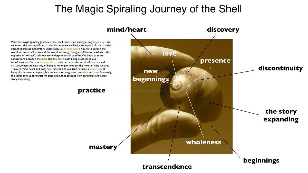 THE MAGIC SHELL. PART ONE | by Doc Klein | Jun, 2025 | Medium