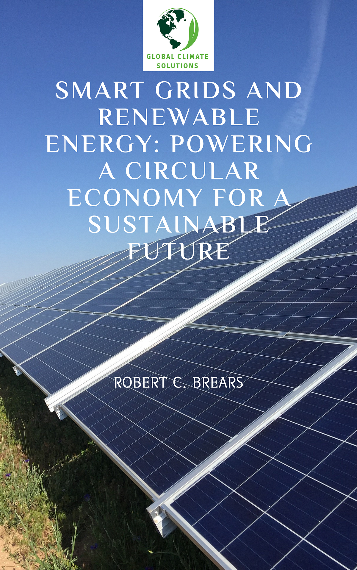 Smart Grids and Renewable Energy: Powering a Circular Economy for a ...