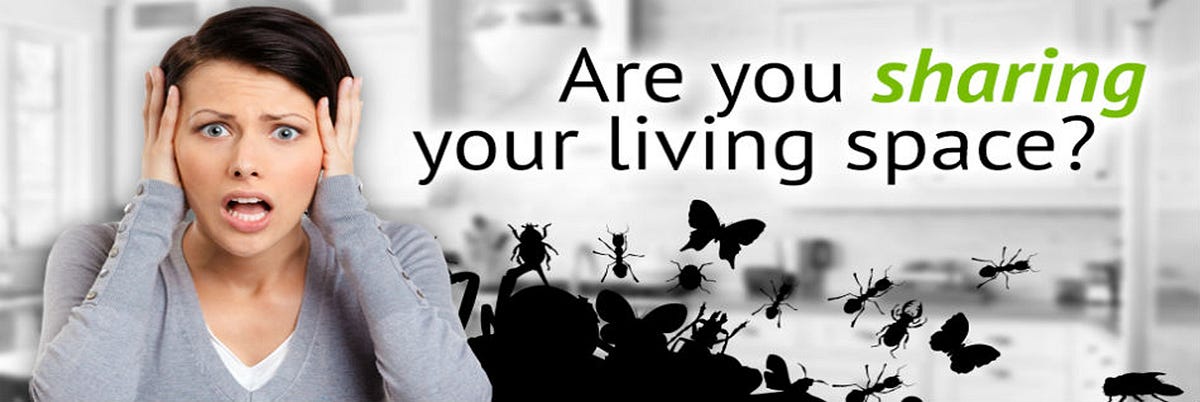 Pest Control Markham — Pest R Gone | by Pest R Gone — Pest Control ...