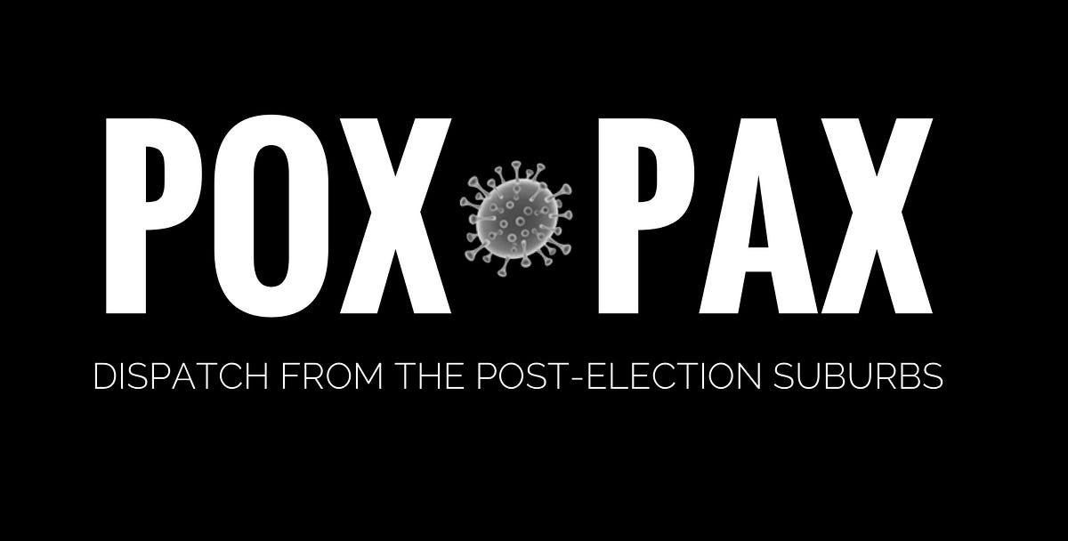 Pox/Pax. Dispatch from the Post-Election Suburbs | by Paula J. Lambert ...