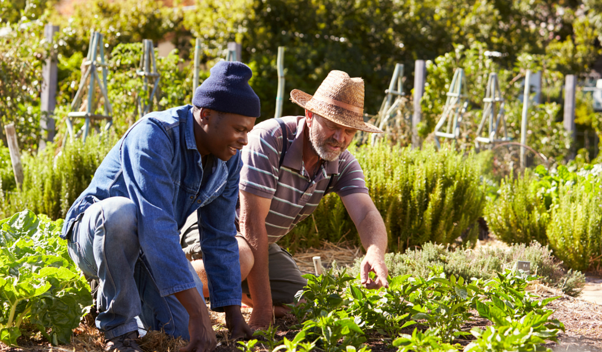 Food Outcry: Dismantling Food Inaccessibility in BIPOC Communities | by ...