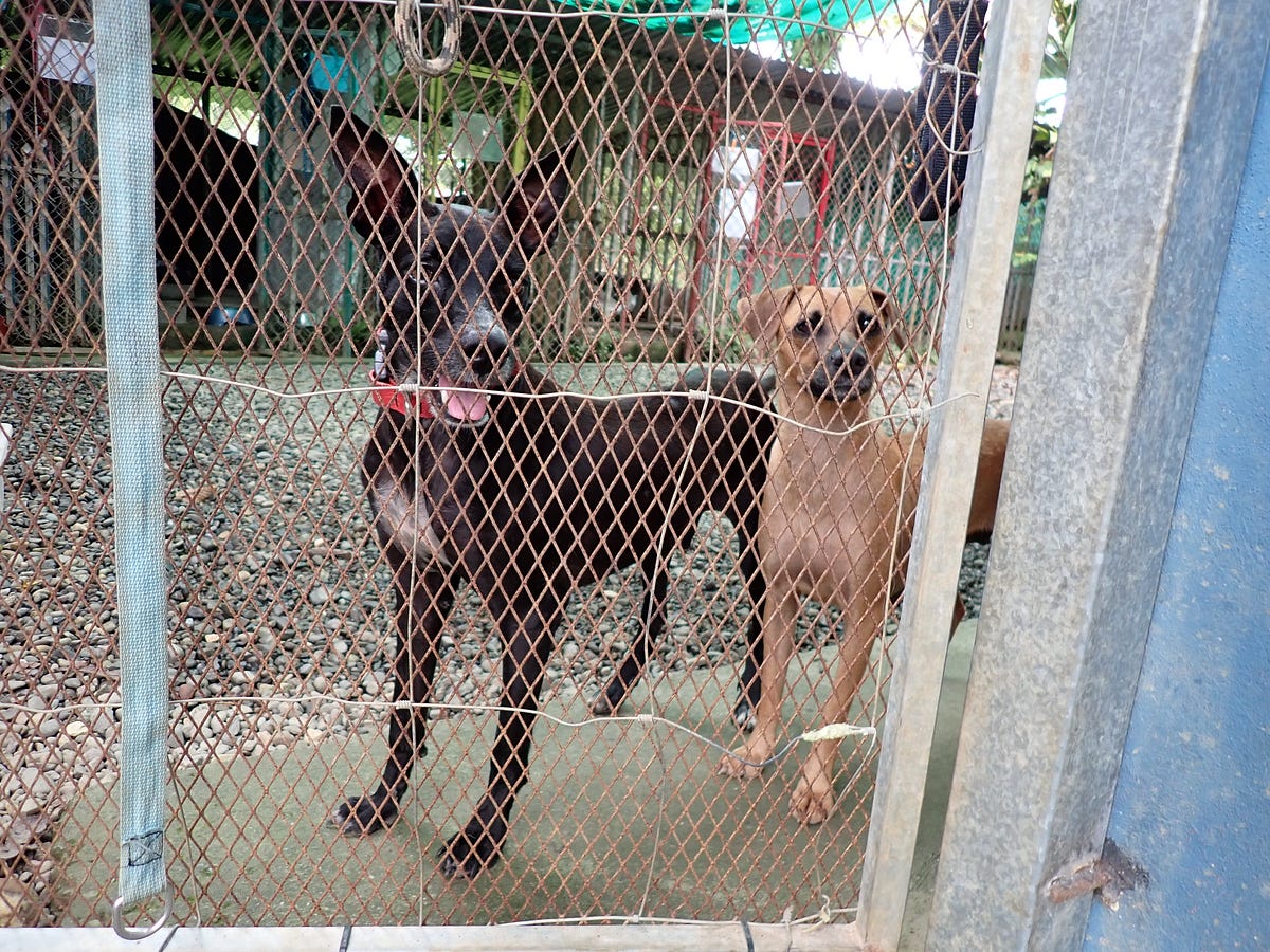 Do You Know How I Got This Scar?. A tale of a scar. Contains cute ...