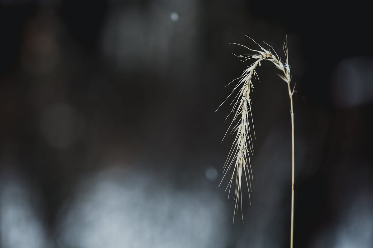 How to Re-Energize Dead Motivation | by Stella Fidem | Ascent ...