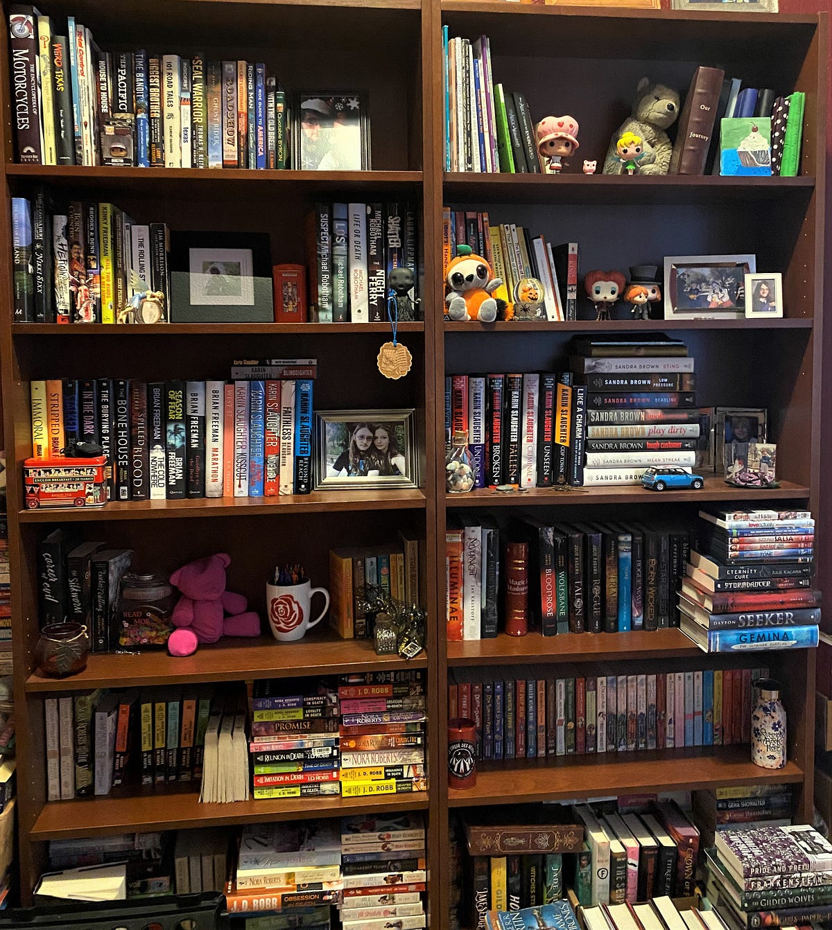 Bookshelves in the Study. Book Shelfie: Freestyle | by L Burton | Six ...