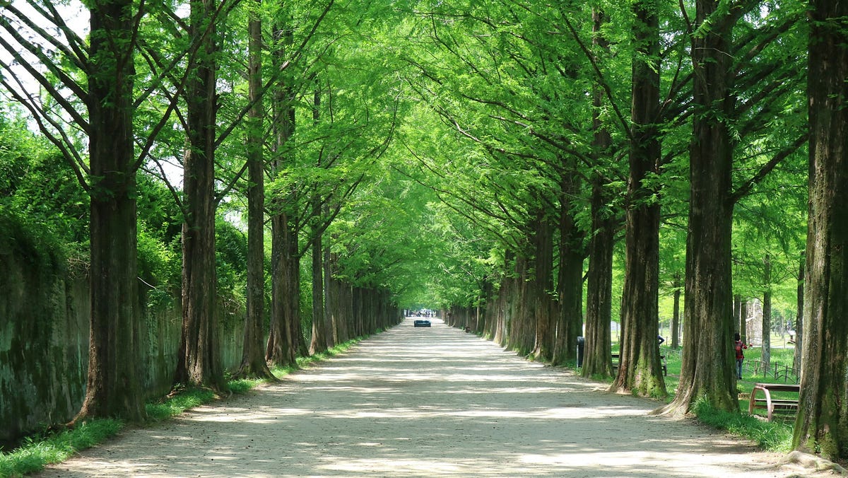 4 Japanese Rules for Dealing With Difficult People | ThinkDraft
