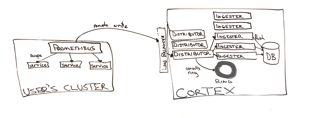 What is Cortex?. My colleague Bryan recently pointed out… | by Jonathan ...