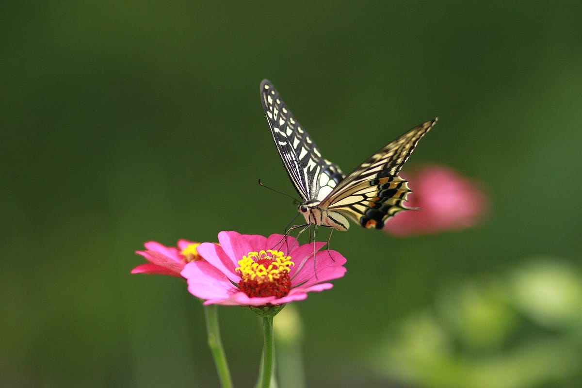 The Final Examination: A Reflection on Identity and Purpose | by Mantosh Kumar | Know Thyself ...