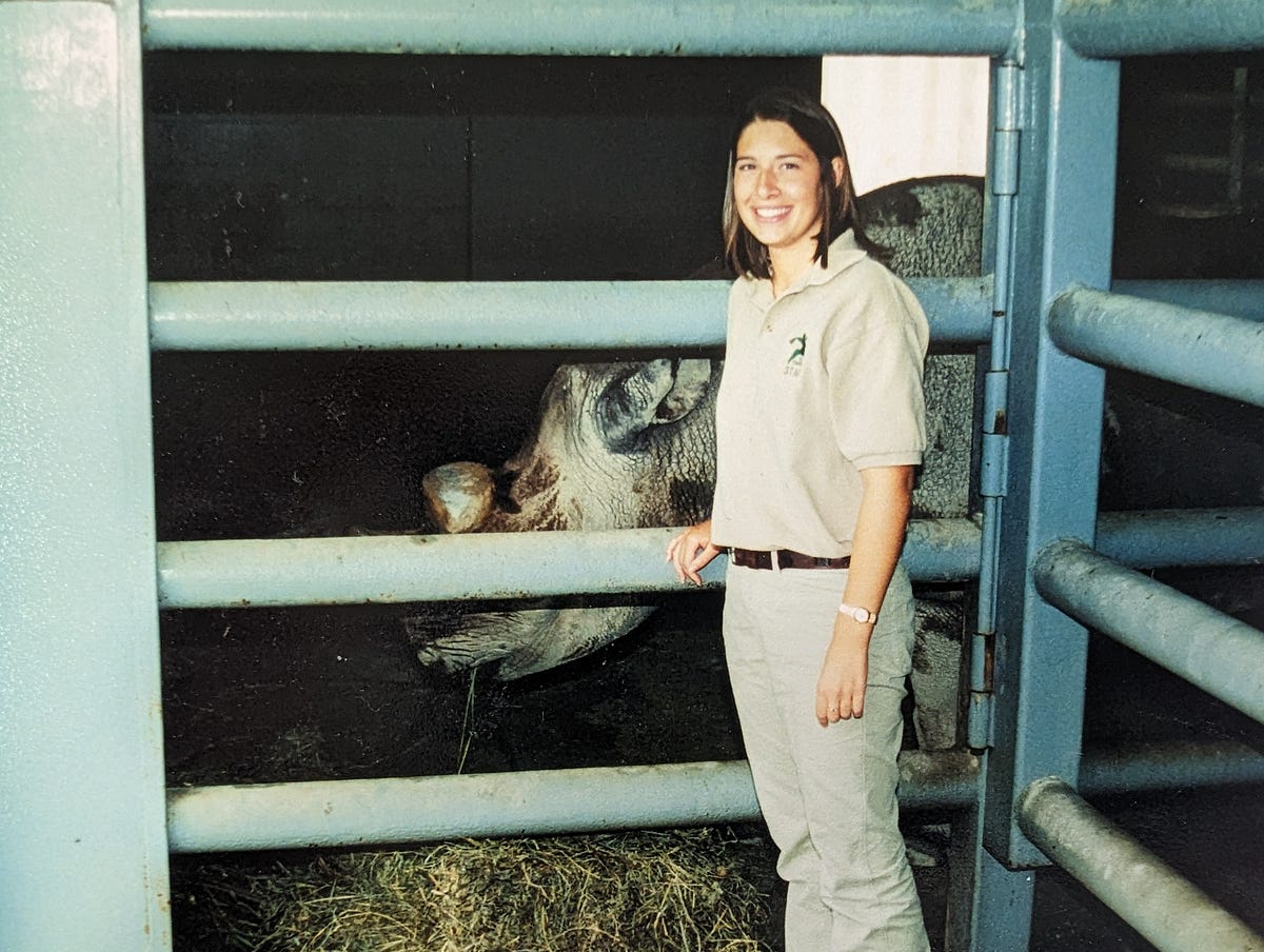 I Had the Coolest Job at 16 and Didn’t Even Know It | by Allison Ditmer ...