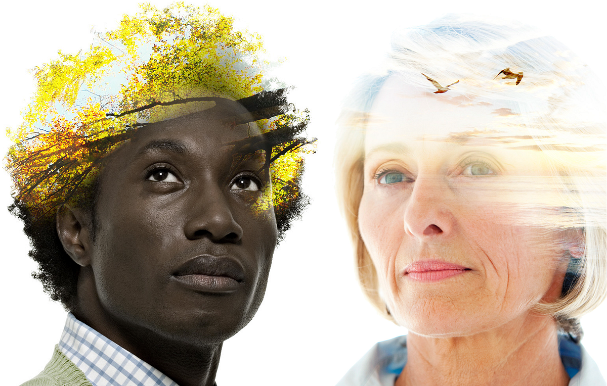 Racism and discrimination in organisations | Decision Free Solutions