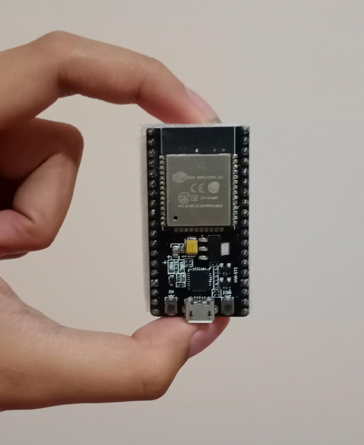 Getting My Hands on My Very First Microcontroller: ESP-32 | by Jingga ...