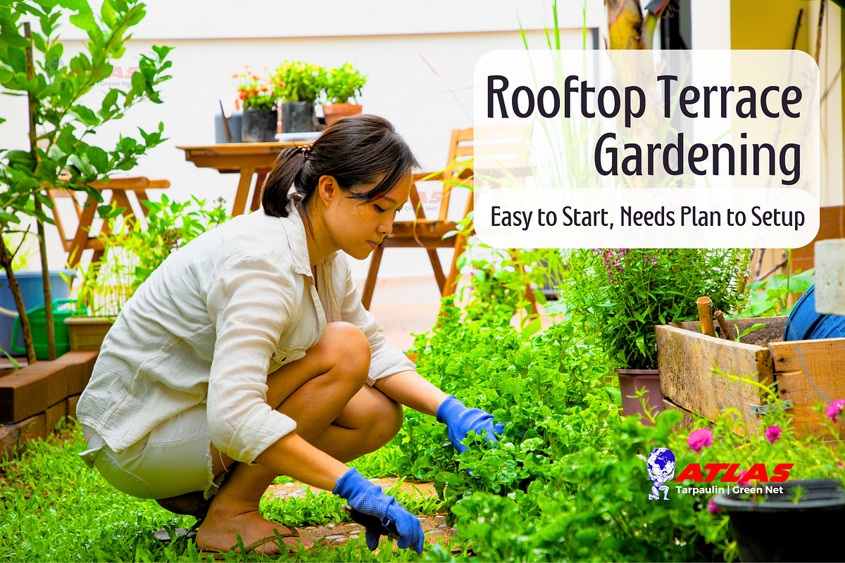 Blueprint to Build and Start Your own Rooftop Terrace Gardening — Part ...