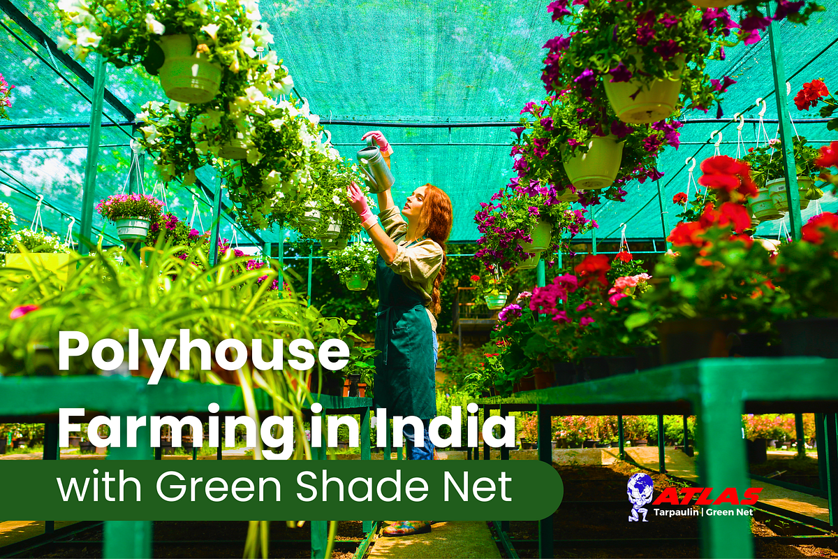 Polyhouse Farming in India: A Comprehensive Guide to Revolutionize Your ...