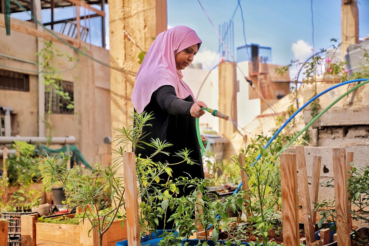 Palestinians Living in Lebanon Plant on their Rooftops | by ...