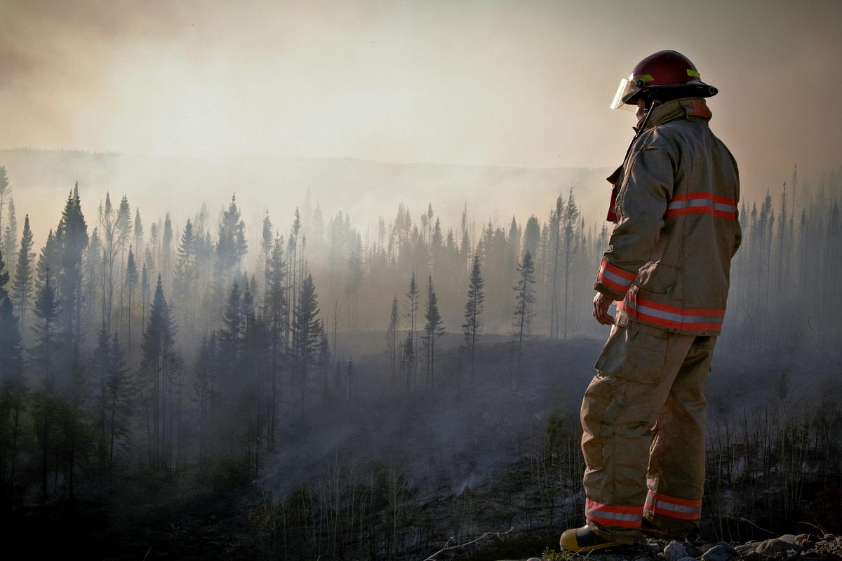 After Five Years of Extreme Wildfire Seasons, Here’s What I’ve Learned ...