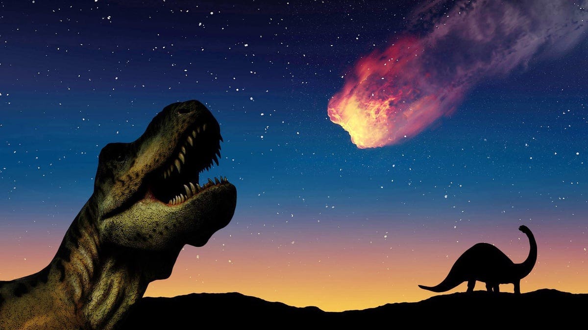 Study examines last day of dinosaurs | by Inkspire Chronicles | Dec, 2024 | Medium