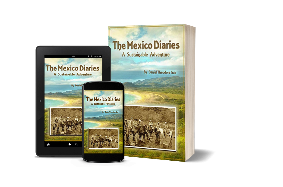 A Review of: The Mexico Diaries. by Daniel Theodore Gair | by Joel R ...