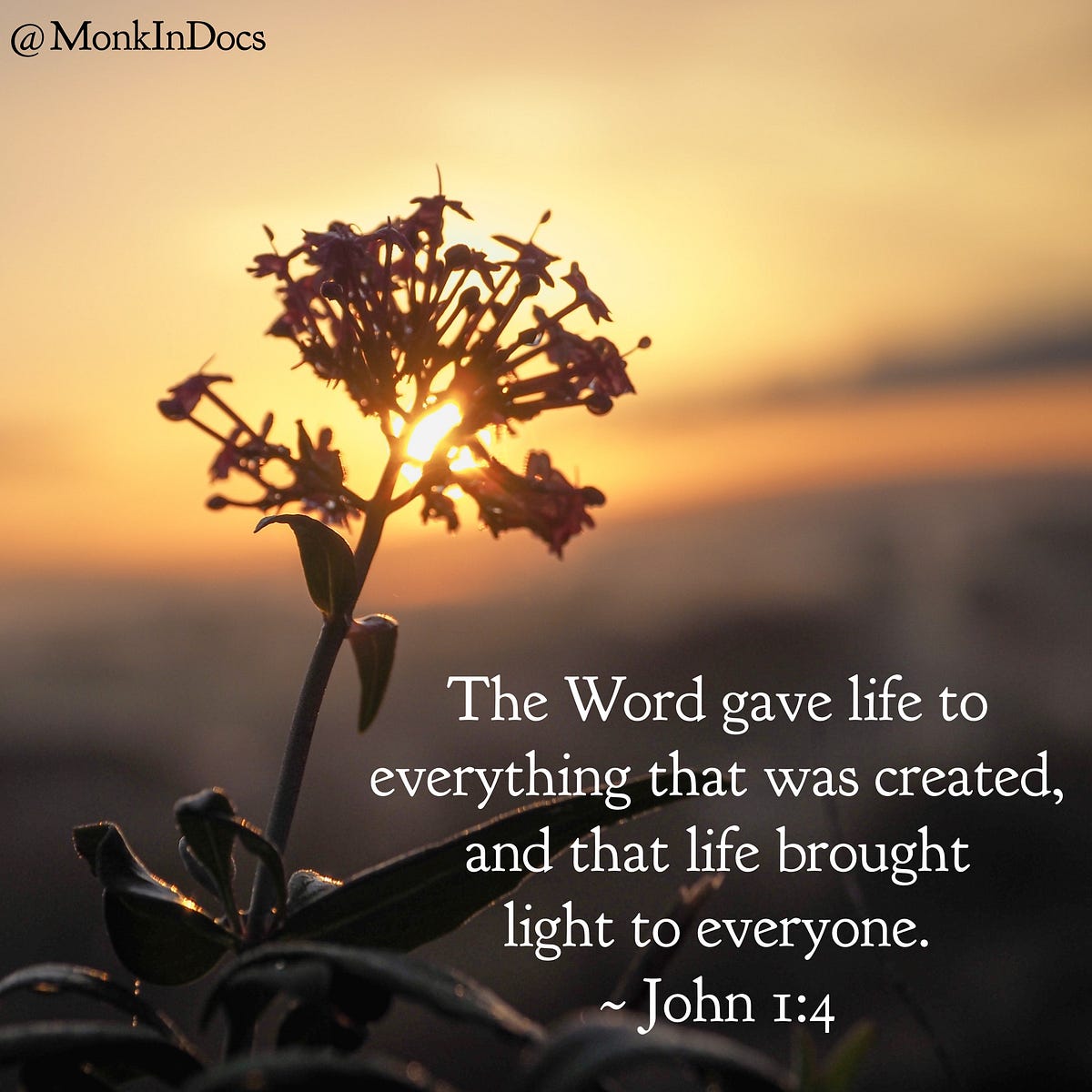 We need light.. Light enables us to see. Without it, we… | by Mark ...