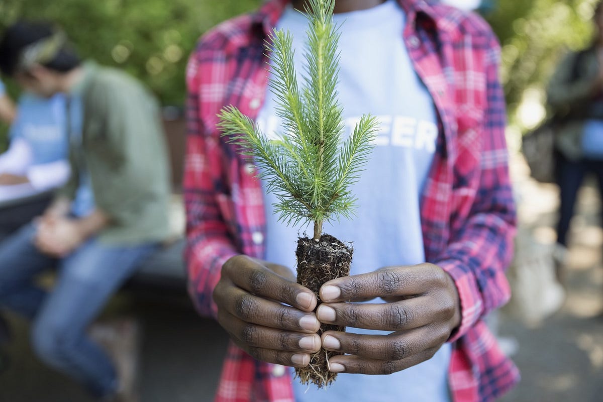 Black and Green: Let’s Talk About Environmental Racism | by Anicca Harriot | VanguardSTEM ...