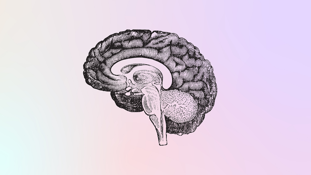 15 Insights From Learning Science That Help You Master New Things ...