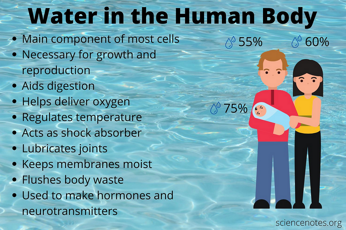 Top 3 Reasons Why Water is the Essence of Life | by Jose Montanez | Medium Top 3 Reasons Why Water is the Essence of Life | by Jose Montanez | Medium