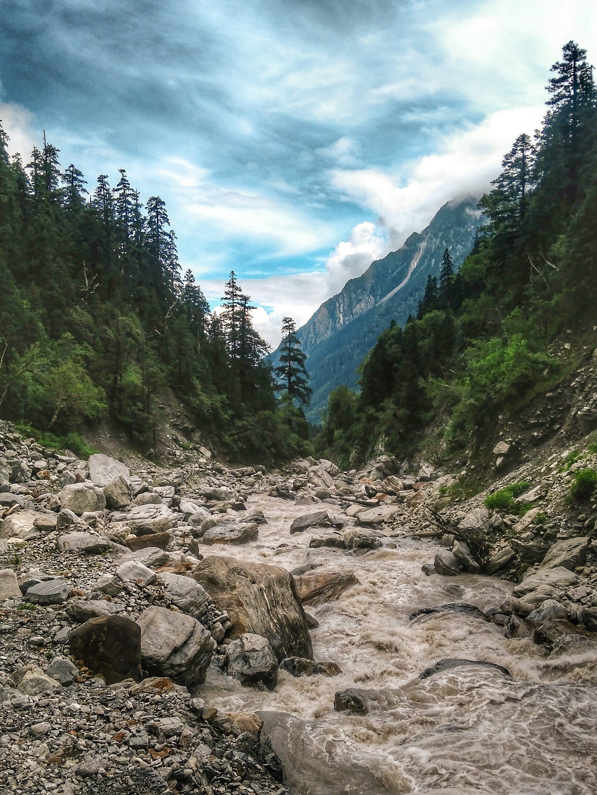 When a trek changed my life.. (part-2) | by Shiladitya Ghosh | Medium