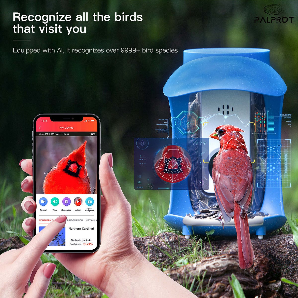 SMART BIRDS FEEDER: WHAT IS IT FOR? | by Zahir Hussain | Medium