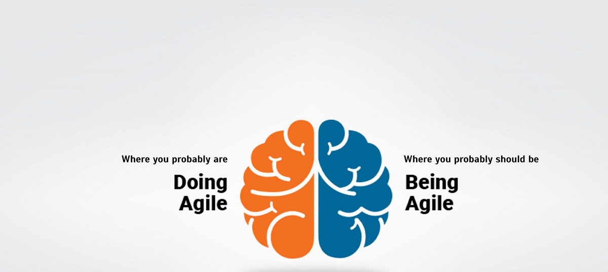 The true meaning of being ''Agile'' | by Teddy | Medium