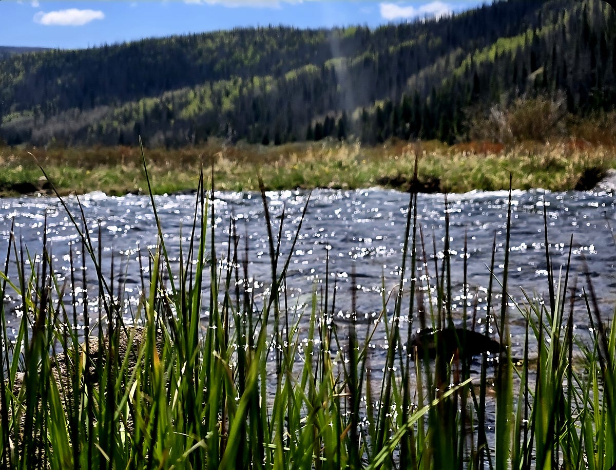 Standing Still in Moving Water. Finding peace on the river | by Joe ...