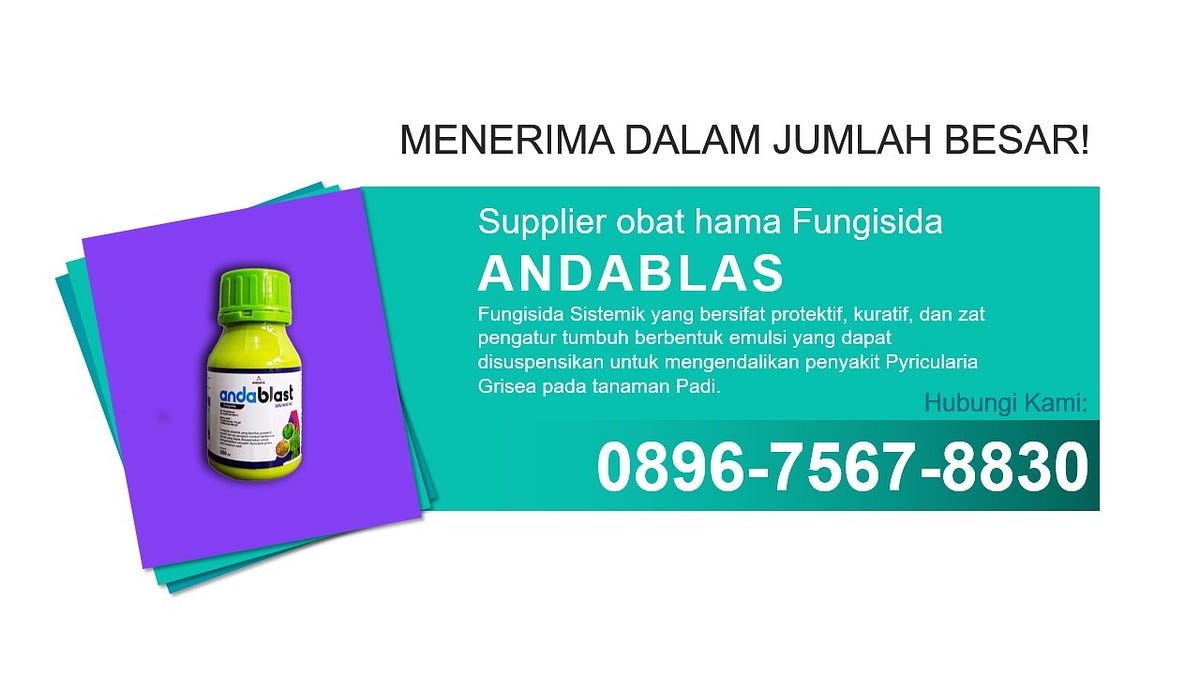 Jual obat hama Fungisida ANDABLAST di Mojokerto | by Bimbingan Kerja ...