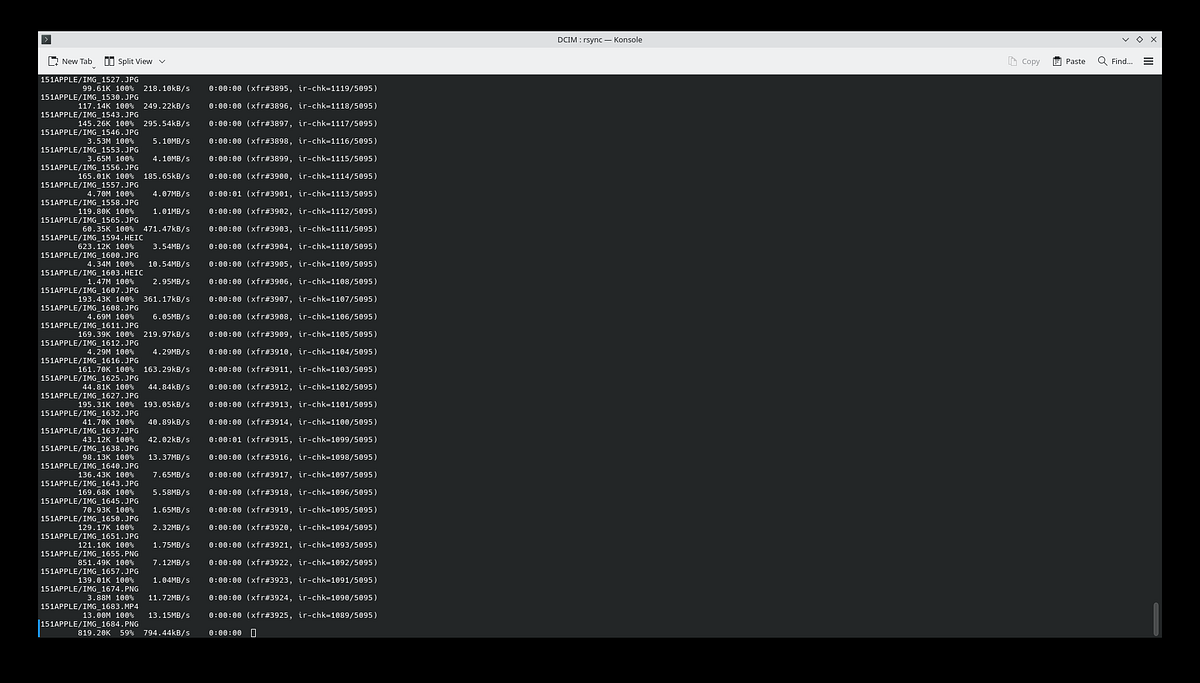 How I Backed Up My Girlfriend’s iPhone Photos on Debian Without Losing ...
