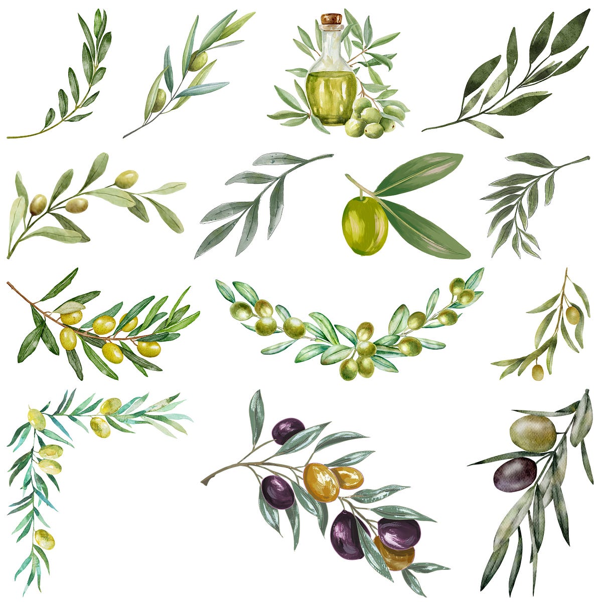 Olive branch Svg Bundle, Olive clipart, Olive Silhouette, Olives leaf ...